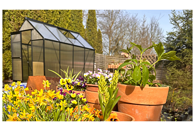 Magdalena Markiewicz - recenzja szklarni Cultivo